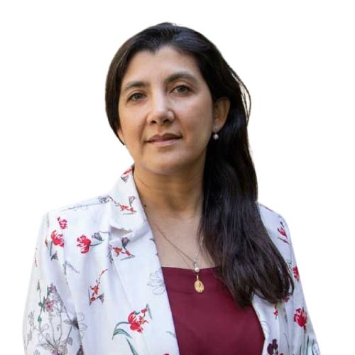 Diplomados online UC